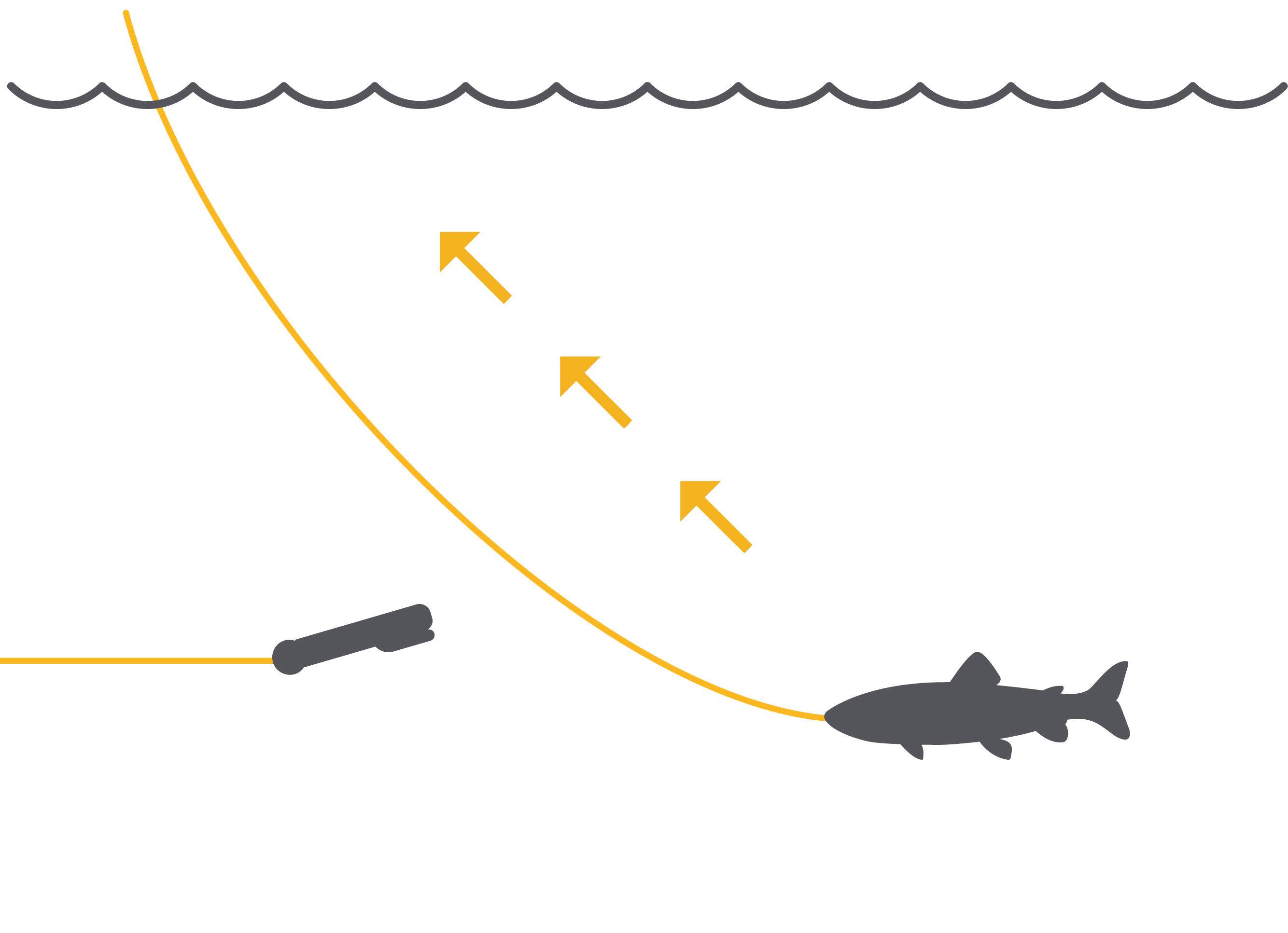 Learn How Downriggers Work:Basics - Cannon