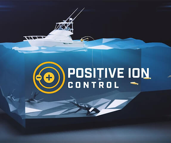 Positive Ion Control | Cannon