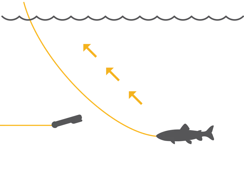 Learn How Downriggers Work: Basics - Cannon